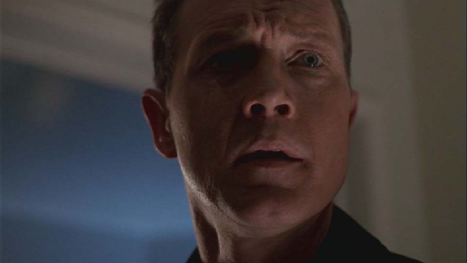 Essence 8x20 / The X-Files / Robert Patrick Shrine